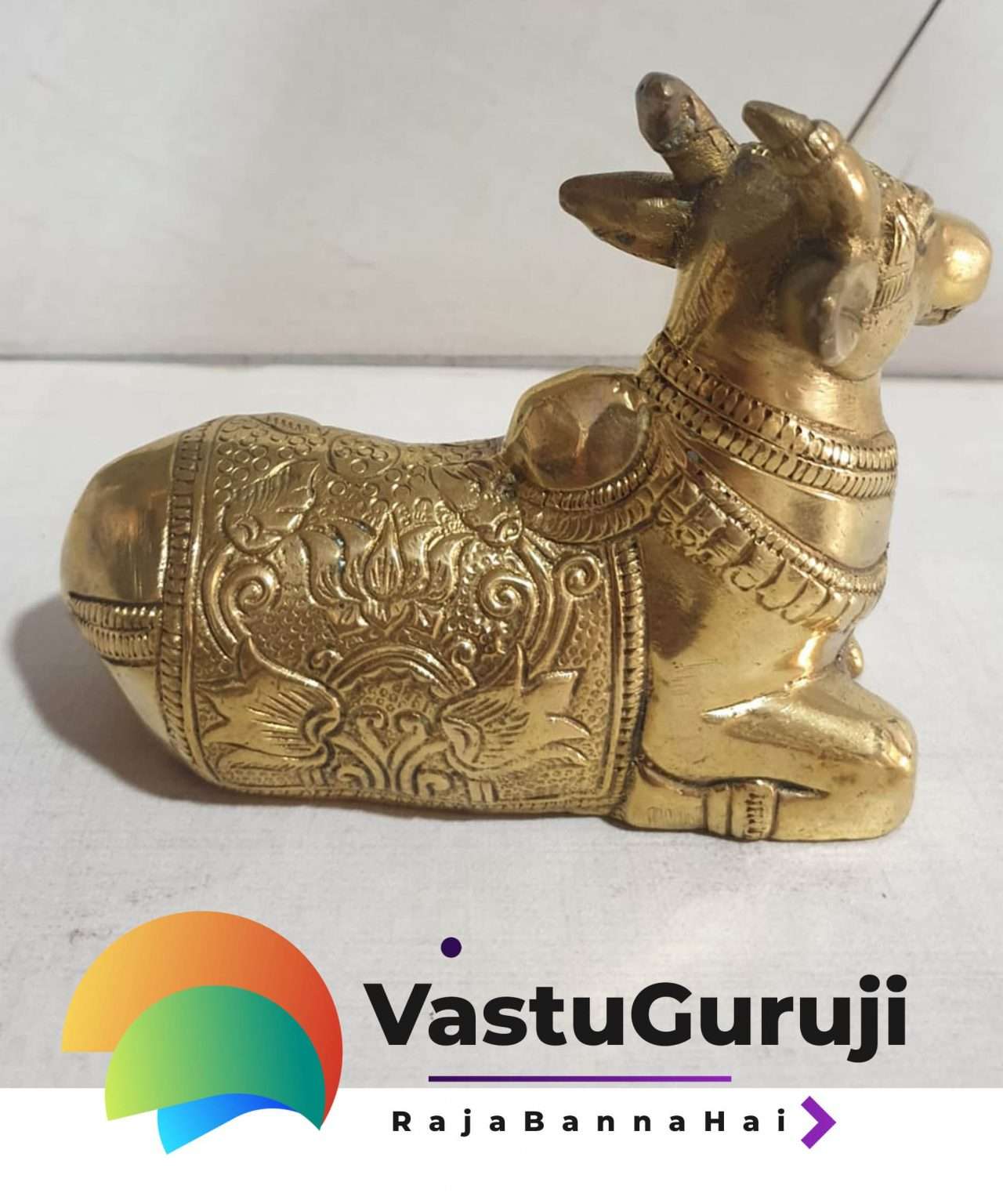NaNDi Bull